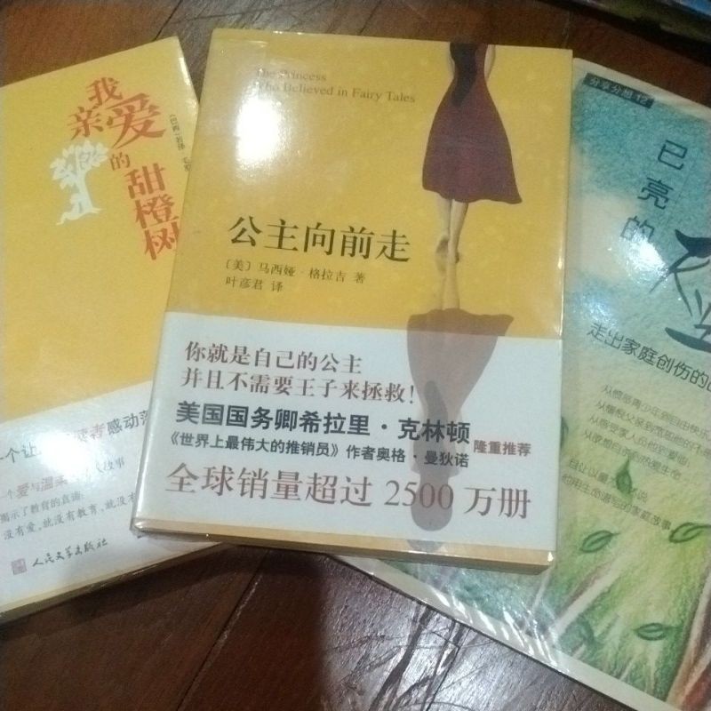 ((My Dear Sweet Orange Tree, Princess Going Forward, Already Bright Sky ...