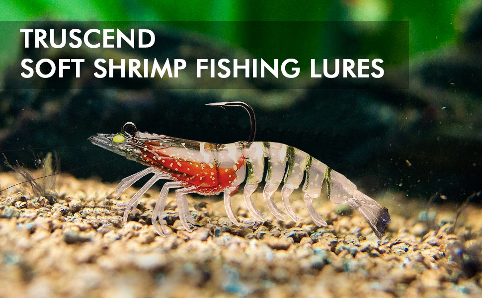 TRUSCEND Weedless Fishing Lures - Super Durable TPE Pre-rigged Jig for ...