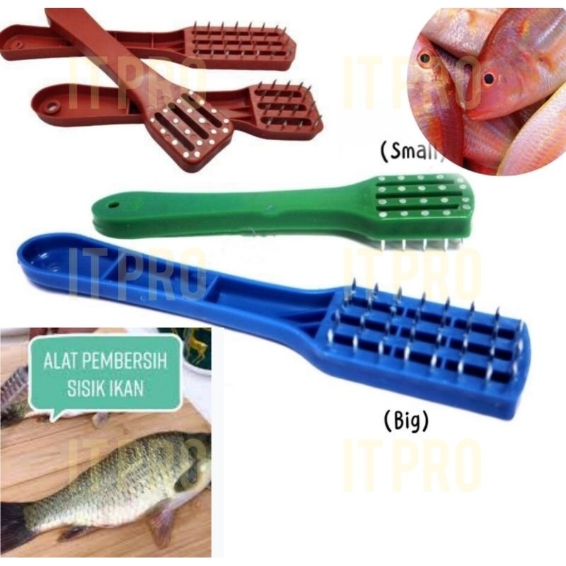 PRO 1pcs Fish Scale Scapper (big/small) | Shopee Philippines