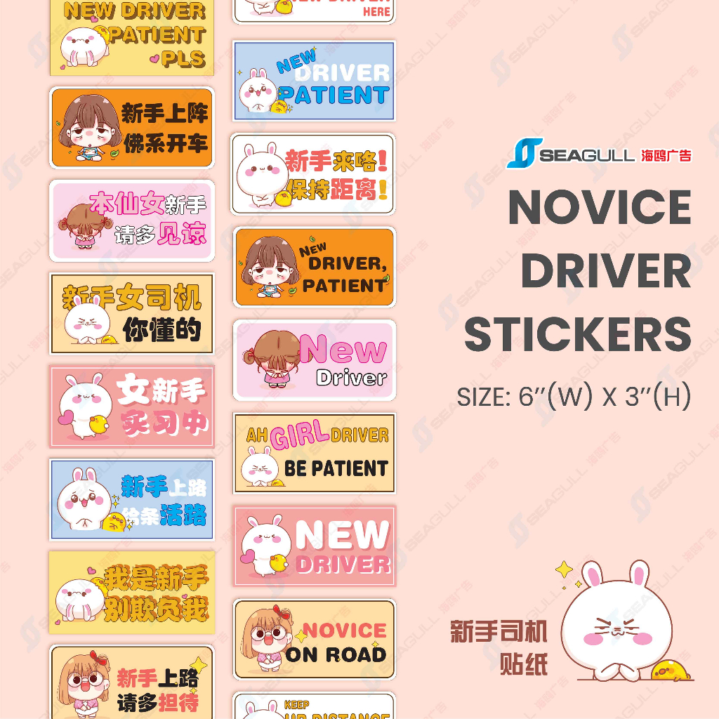 Novice Driver Sticker / New Driver / Newbie / Lady Driver /Car Sticker ...
