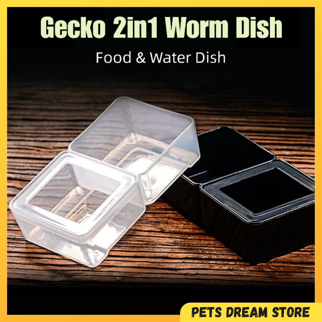 Gecko worm dish food bowl reptile feeding dish water dish water bowl ...