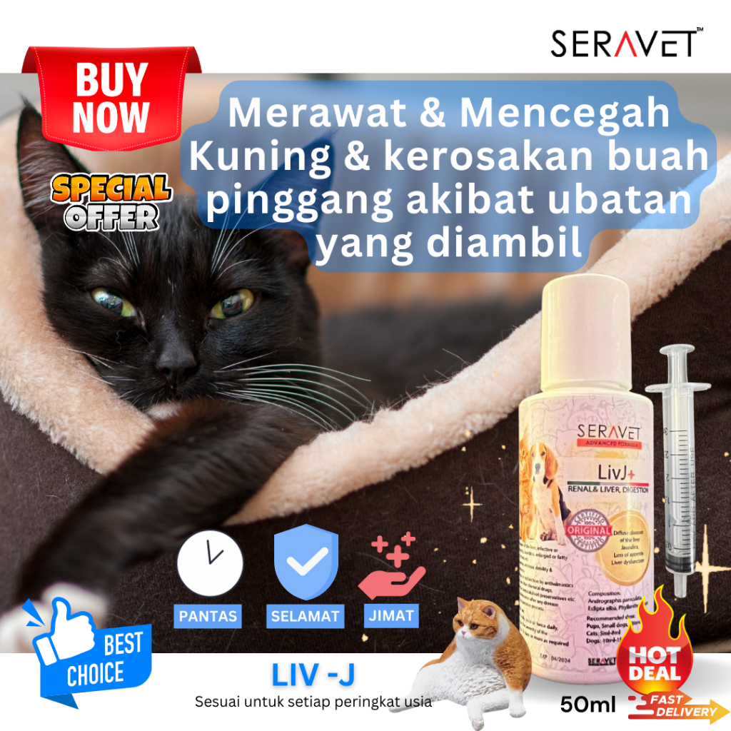 Livj 50ML - Medicine for Swollen Liver, Jaundice, Hepatitis, Cirrhosis ...