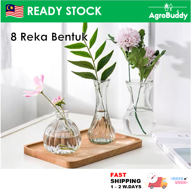 AgroBuddy Pasu Kaca Bunga Lut Sinar Nordic Transparent Glass Vase Dry ...