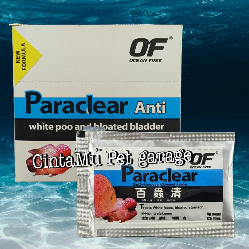 Ocean free paraclear anti white Poland bloated bladfer medicine flower ...