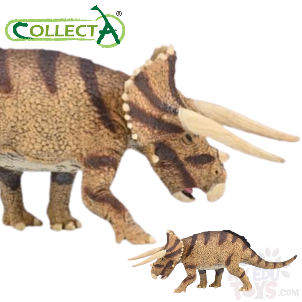 Triceratops Horridus Confronting - Collecta 88969 Prehistoric Dinosaur ...