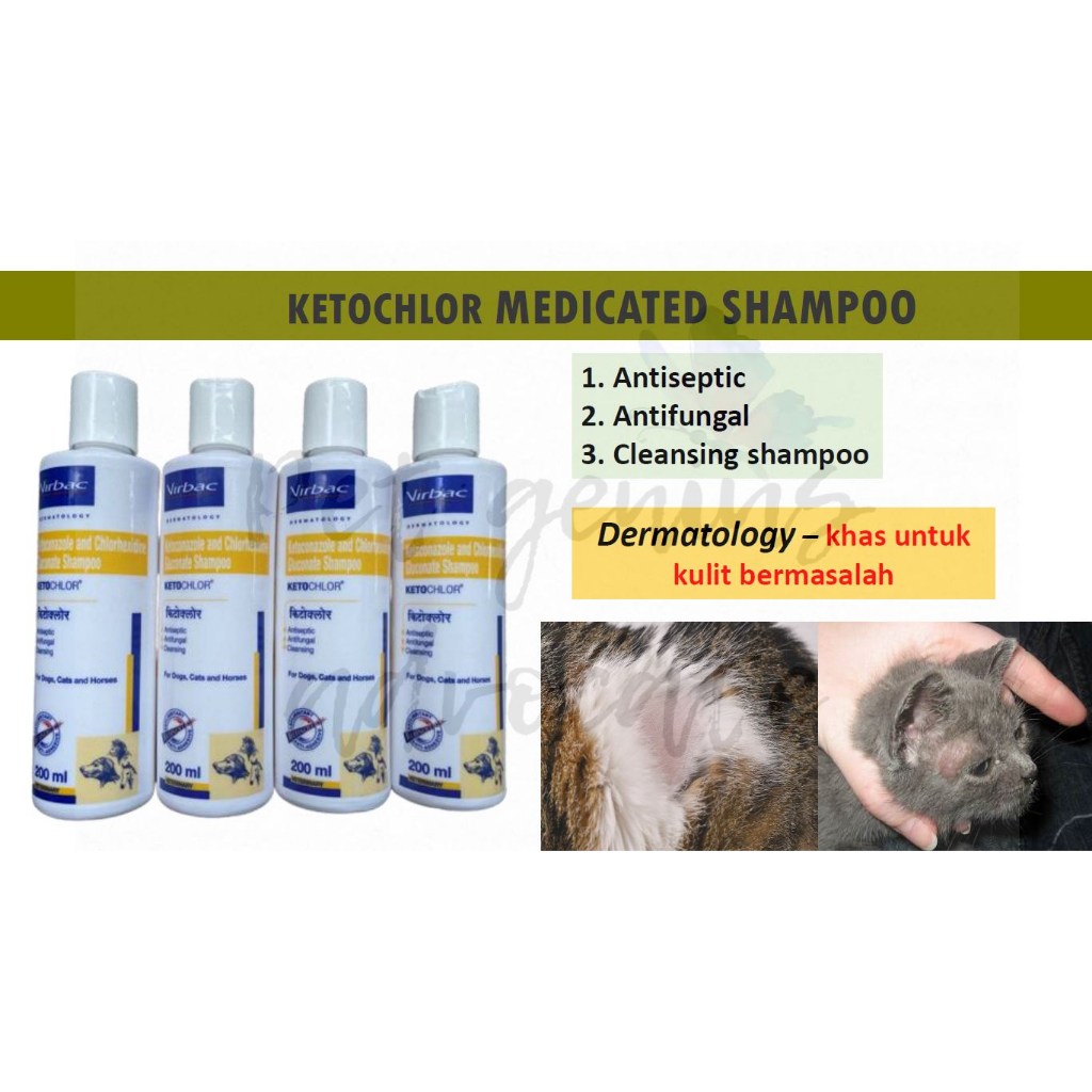 ANTI FUNGAL SHAMPOO KUCING ANJING (VETERINARY) | Shopee Philippines