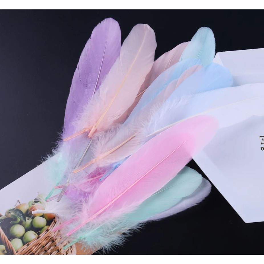 Long Feather 15 Pcs Per Pack for Art and Craft DIY Project Swan Feather ...