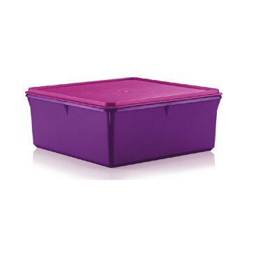 Mega Keeper Tupperware | Shopee Philippines