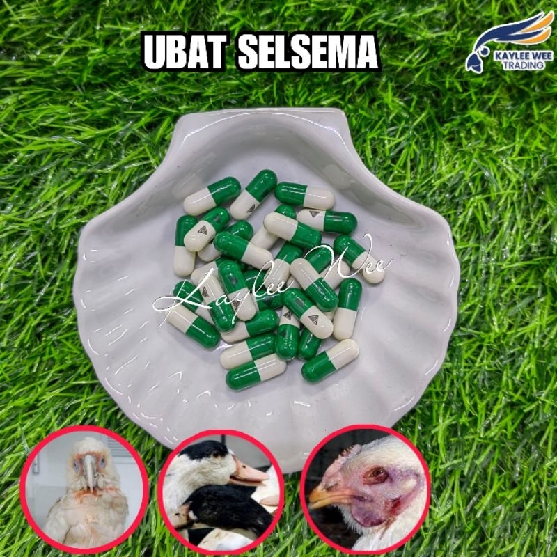 Medicine SELSEMA Bird/Chicken/ITIK (UNGGAS) | Shopee Philippines