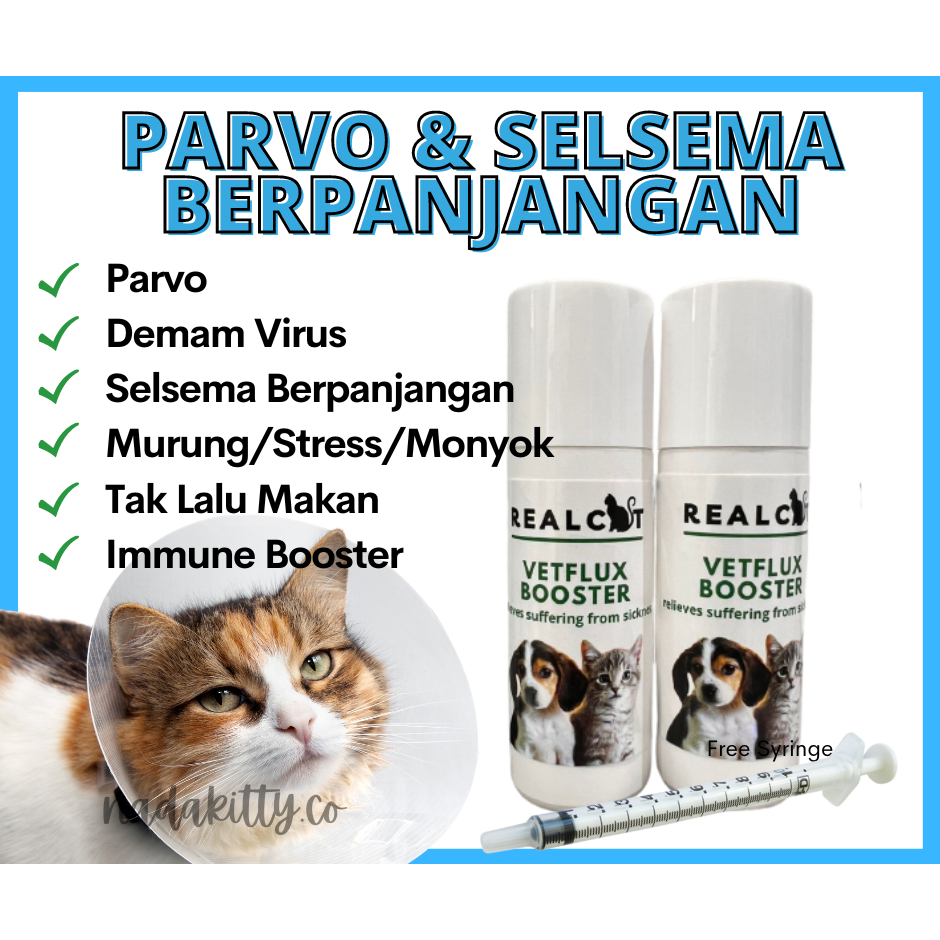 MATA Cat Cold Medicine Cat Fever Medicine Monyok Uneating Eye Pain ...