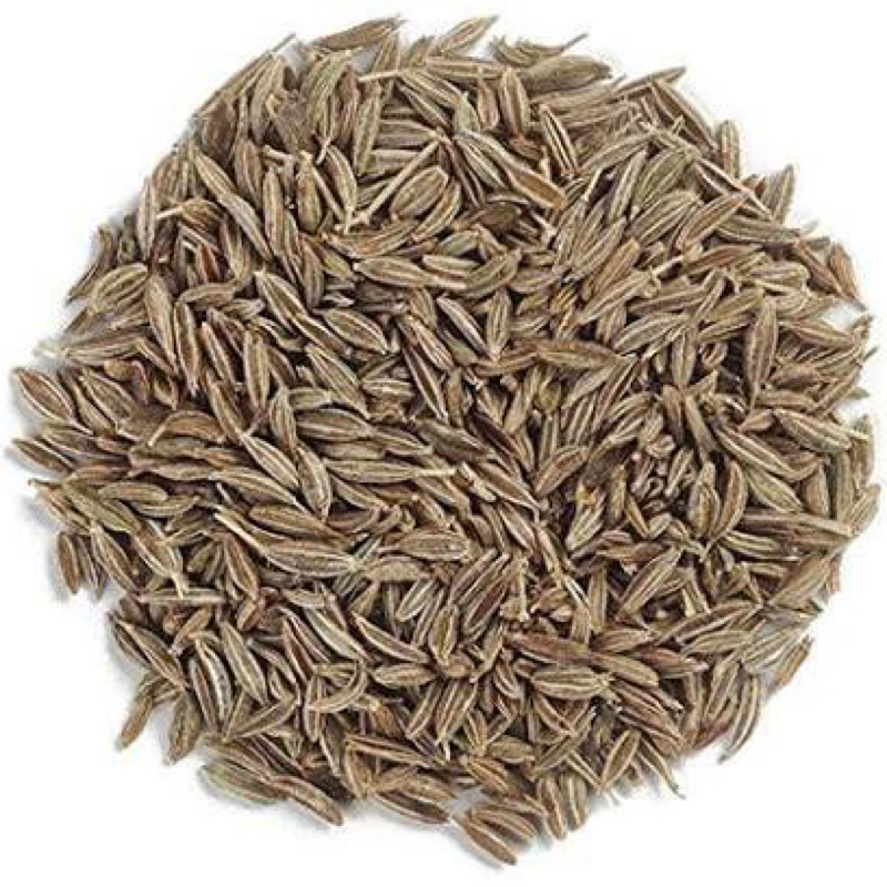 PUTIH Cumin seeds White Cumin 100GM | Shopee Philippines