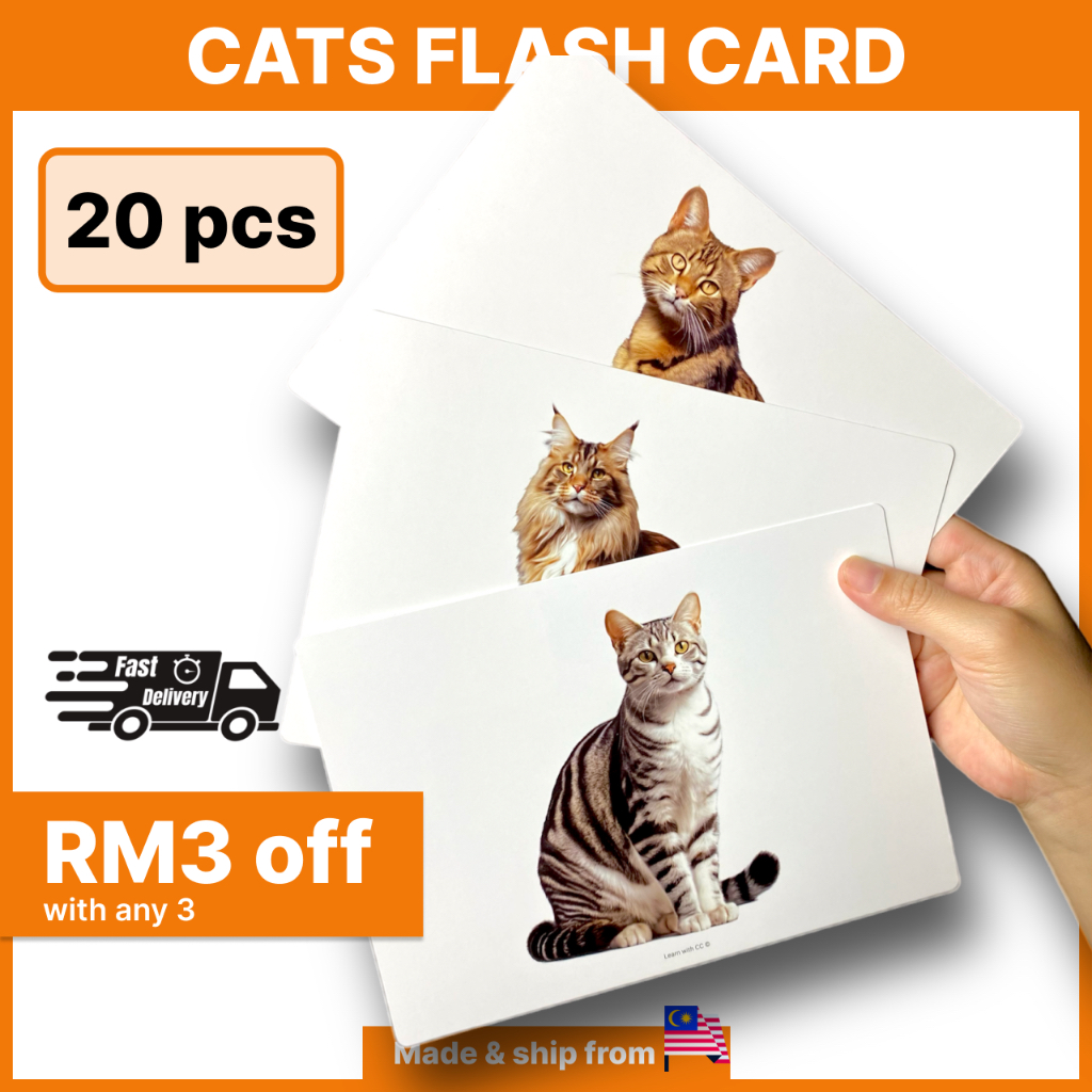 Cats Big Flash Cards for Kids, Baby, Big Flash Card, Flashcard ...