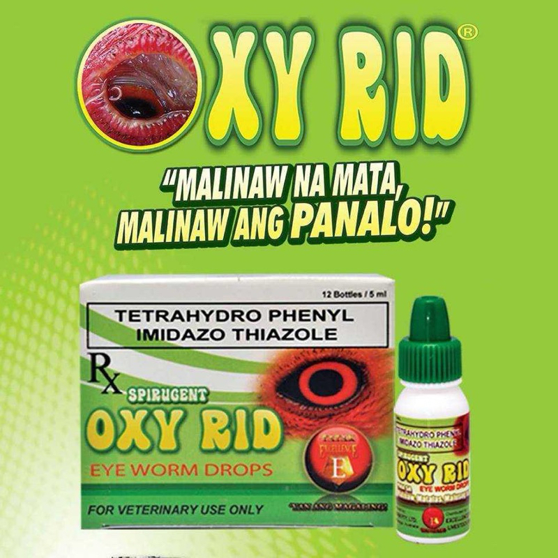 Oxy Rid Eye Worm Drops 5ml | Shopee Philippines