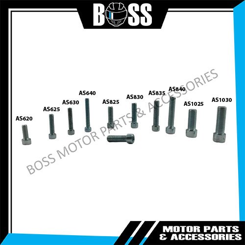 Allen Key Screw (Silver) | Shopee Philippines