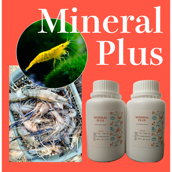 Multi Mineral Vitamin Premix for Fish and Shrimp 水产矿物质微量原属 | Shopee ...