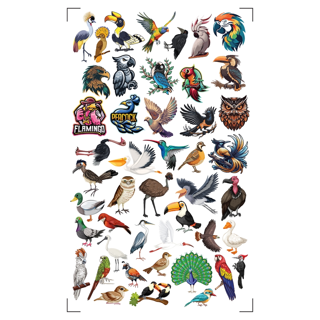 STICKER BURUNG PVC WATER PROOFING | Shopee Philippines