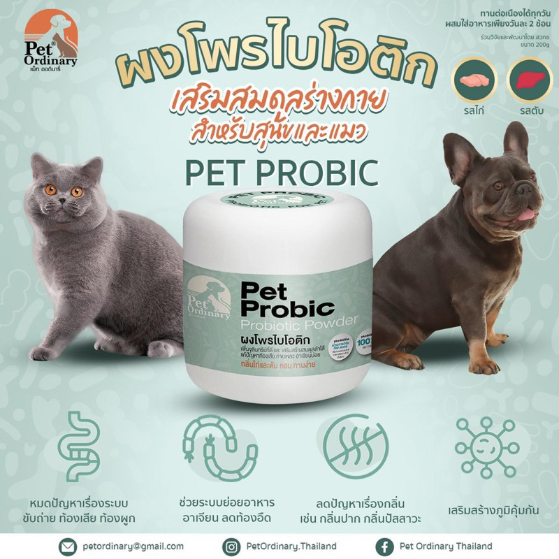 Pet Ordinary Pet Probic Chicken & Liver (200g) | Shopee Philippines