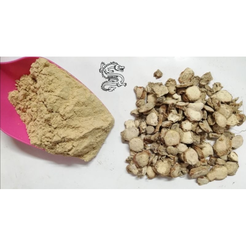 PUTIH Dry Cekur Powder / Galangal / White Gathering - 100gram | Shopee ...