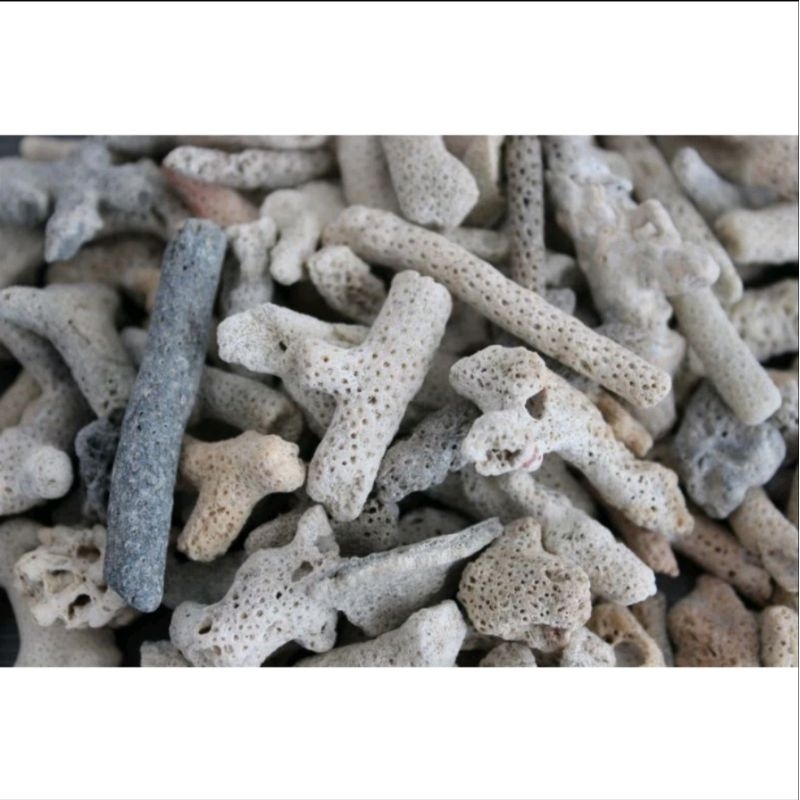 CORAL STONE AQUARIUM FILTER MEDIA | Shopee Philippines
