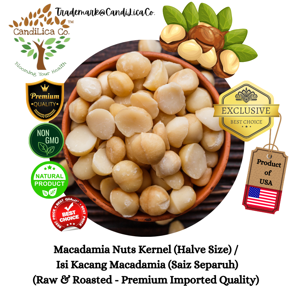 CandiLica Co. Premium Imported Macadamia Nuts Kernel (Halve Size ...