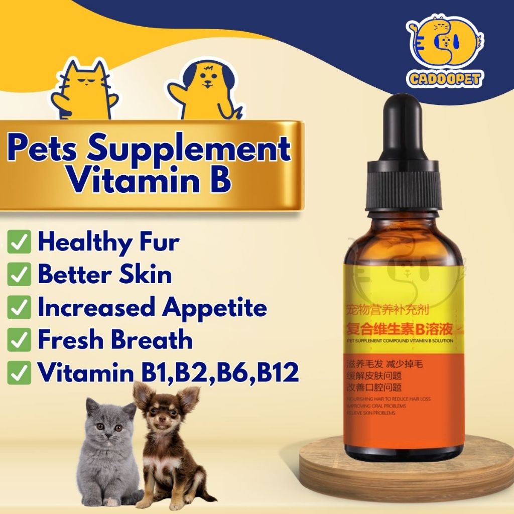Pet Vitamin B Complex Supplement for Cats & Dogs - Boost Energy ...