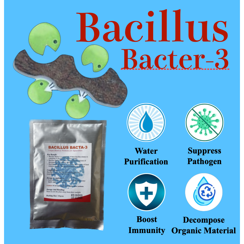 Bacillus Bacta-3 Aquaculture Probiotic Fish and Shrimp 100gm | Shopee ...