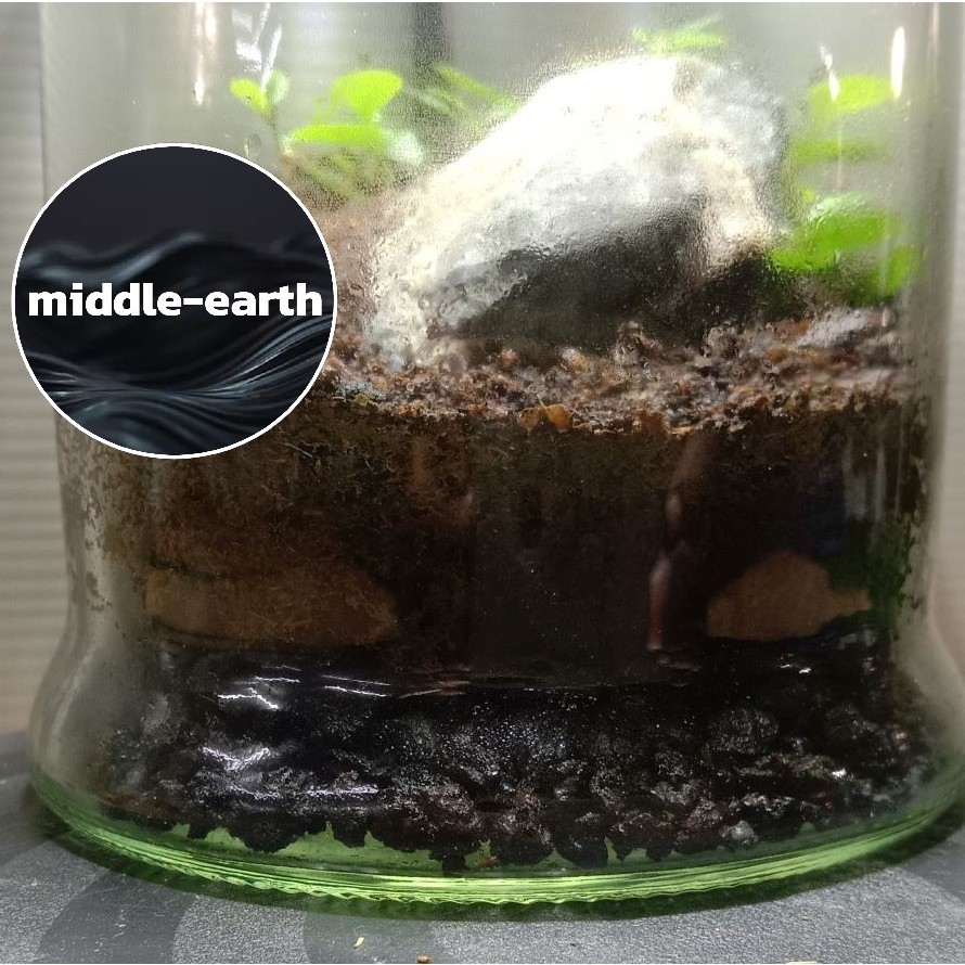 Terrarium - Substrate (Bottom Layer - Crush Lava Rock) | Shopee Philippines