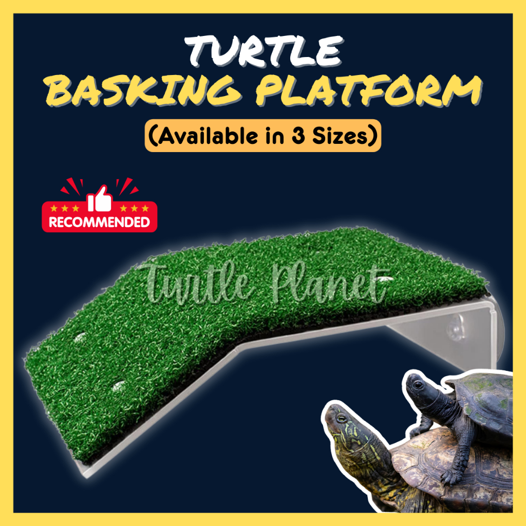 Turtle artificial grass basking platform 乌龟晒台 (S/M/L) | Shopee Philippines