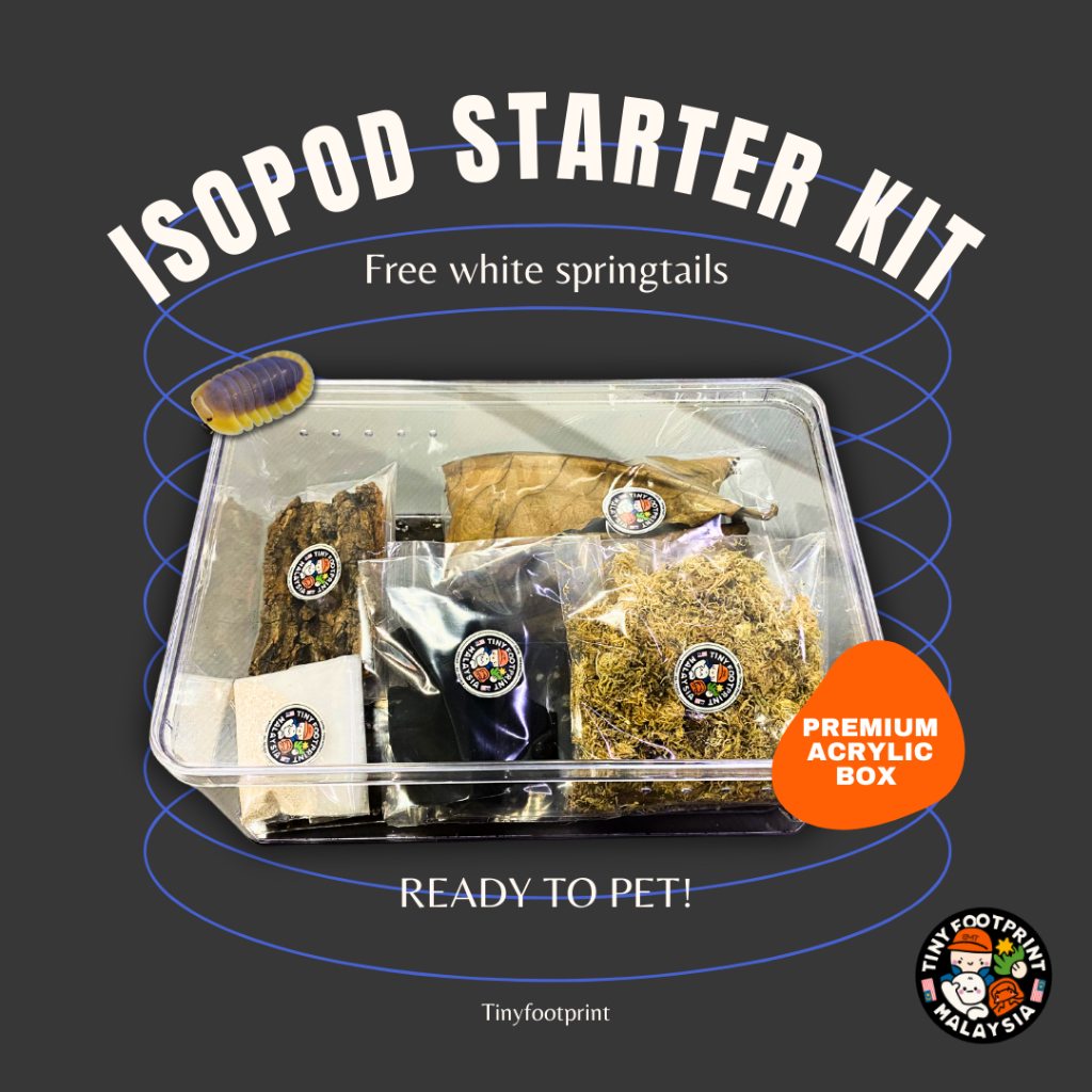Isopod starter kit (free white springt ) | Shopee Philippines