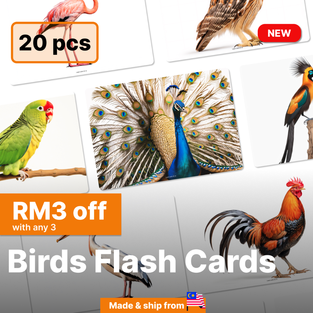 Birds Big Flash Cards for Kids, Baby, Big Flash Card, Flashcard ...