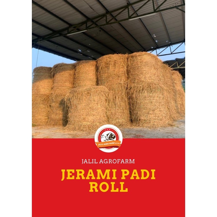 JERAMI PADI/RICE STRAW 25 KG | Shopee Philippines