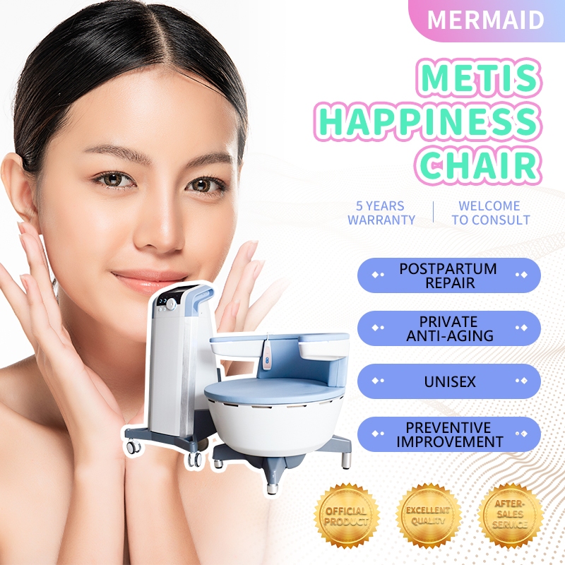Urinary Incontinence Pelvic Floor Muscle Stimulator Chair Men and Women ...