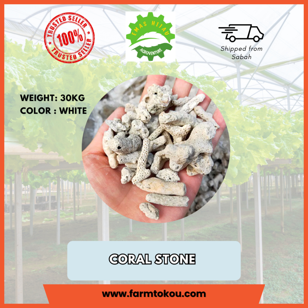 Aquarium Coral Stone / Batu Karang Akuarium 1KG | Shopee Philippines