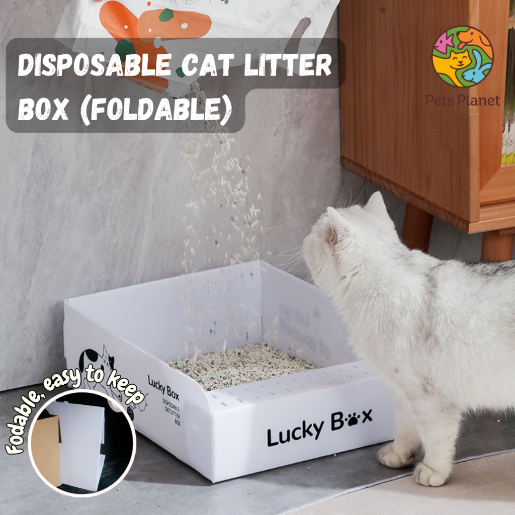 Disposable Cat Litter Box Travel Convenient Collapsible Cat Litter Box ...