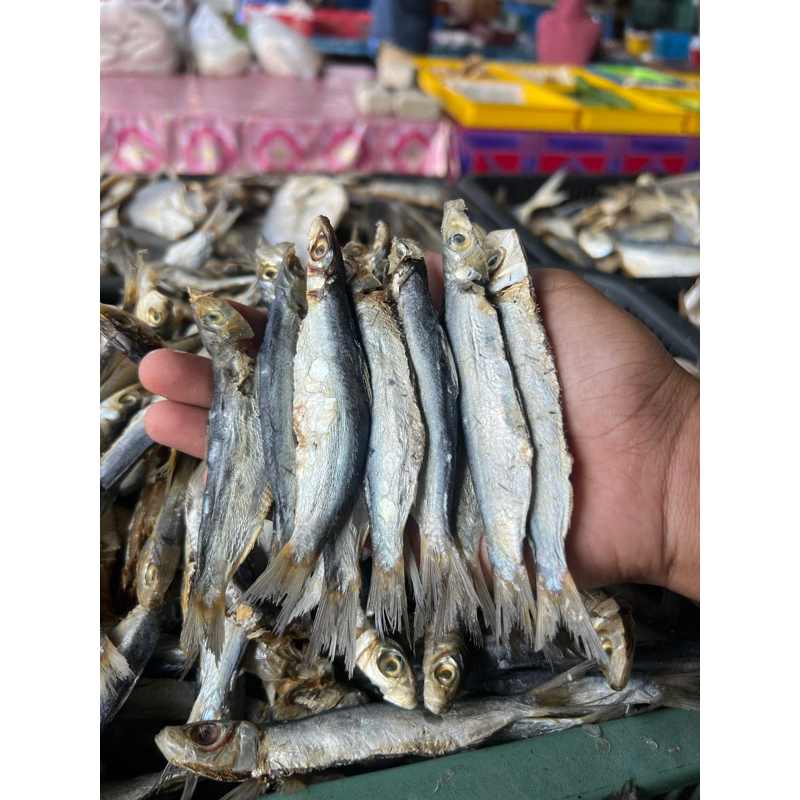 Tamban guting dried fish 500g | Shopee Philippines