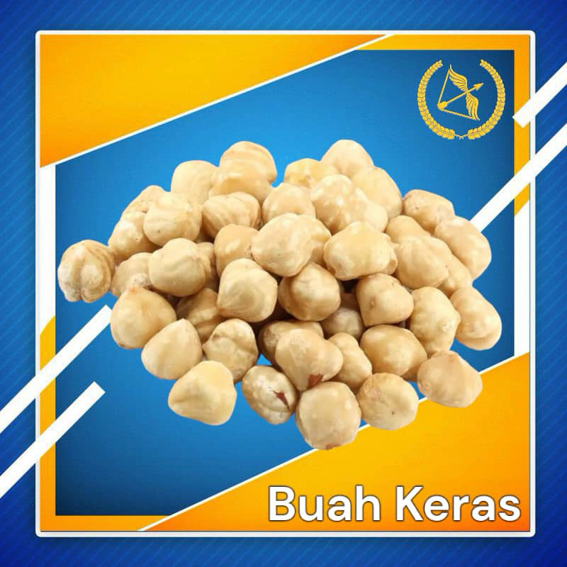 Buah keras/Candle nuts 1kg | Shopee Philippines