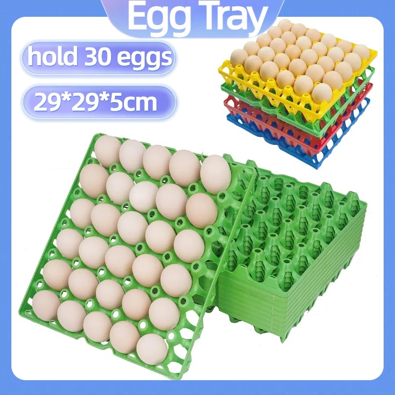 Sarang Telur Plastik Plastic Egg Tray Crates 30-Egg Tray Telur Bekas ...
