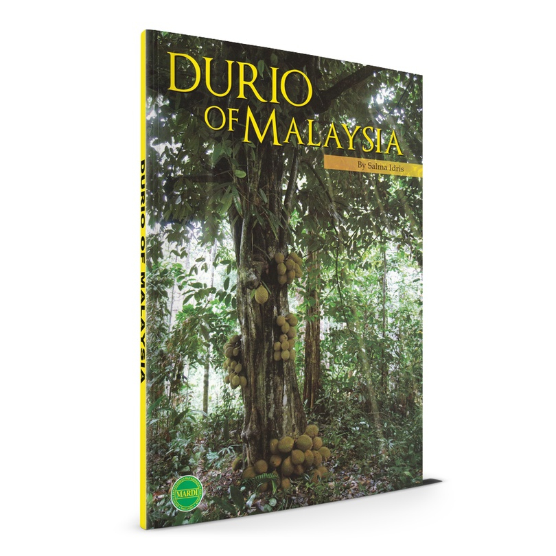 Durio of - 24 Species of Durio Available in the Country | Shopee ...