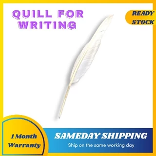 quill pen - Best Prices and Online Promos - Dec 2025 | Shopee Philippines