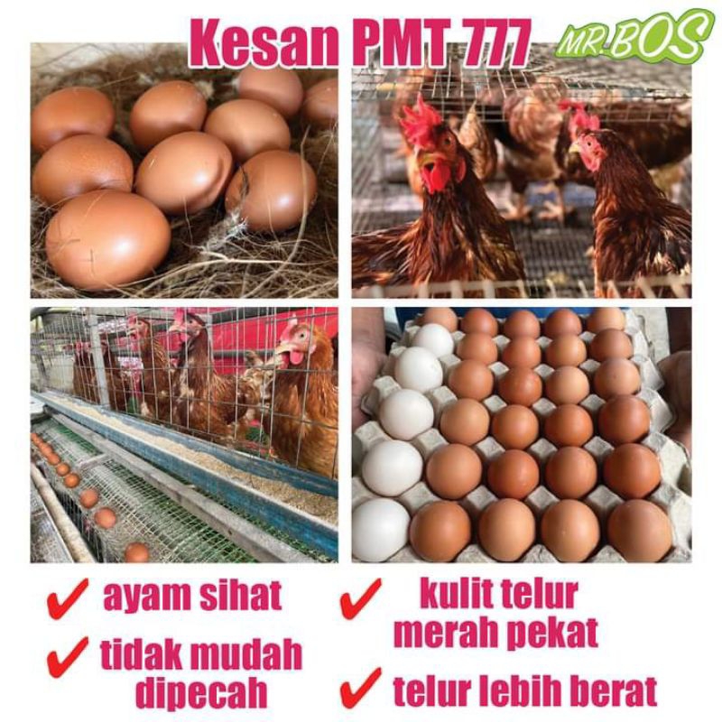 1Kg - Makanan Ayam Penelur/ Chicken Layer Feed | Shopee Philippines