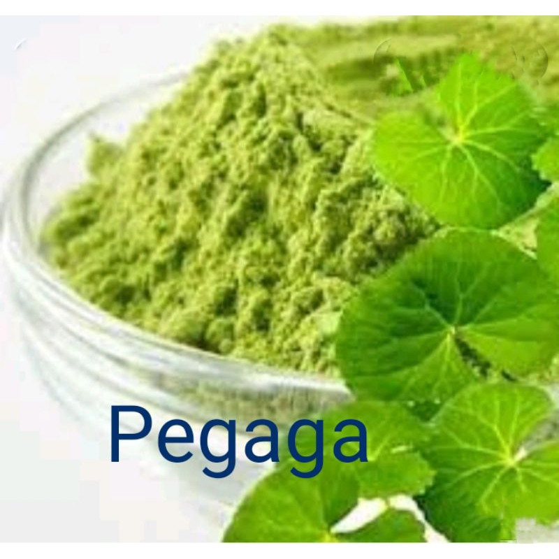 Pegaga Powder (100 GM/RM12.00) | Shopee Philippines