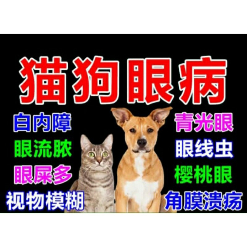 Pets Cats Dogs Universal Eye Potions Prevent and Treat White Inner ...