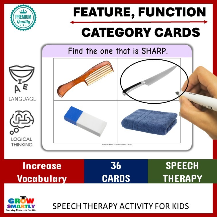 GROWSMARTLY Feature Function Category Task Card Speech Therapy Activity ...