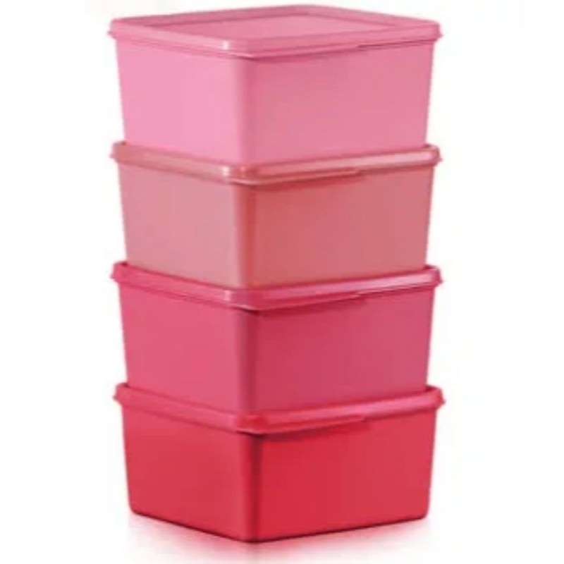 Tupperware Snack & Stack Set 1.2L (1 or 4 pcs) | Shopee Philippines