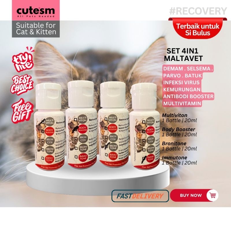 Cat & KITTEN PETCARE 4IN1 Treatment For Fever, Cellsema, Cough,BOOSTER ...