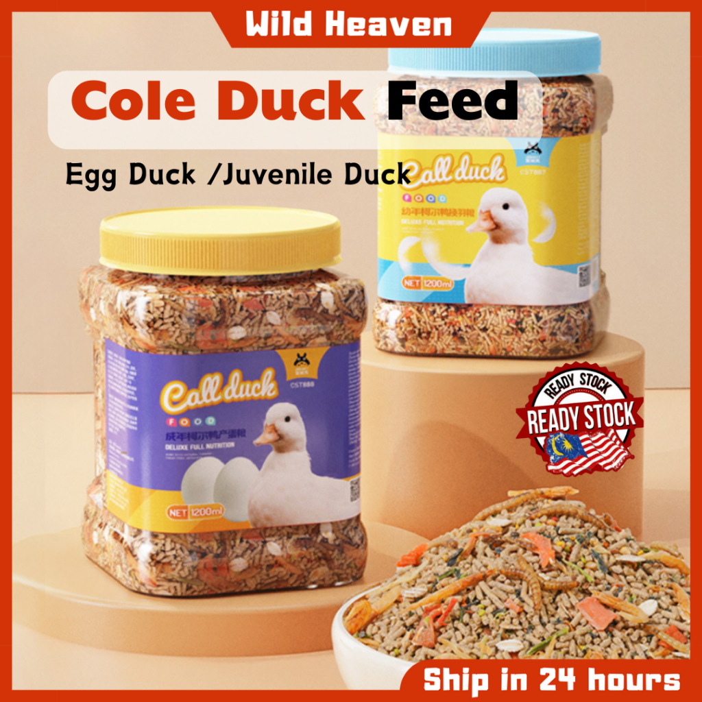 Cole Duck Food Egg Duck Feed High Protein Insect Formula Completed ...