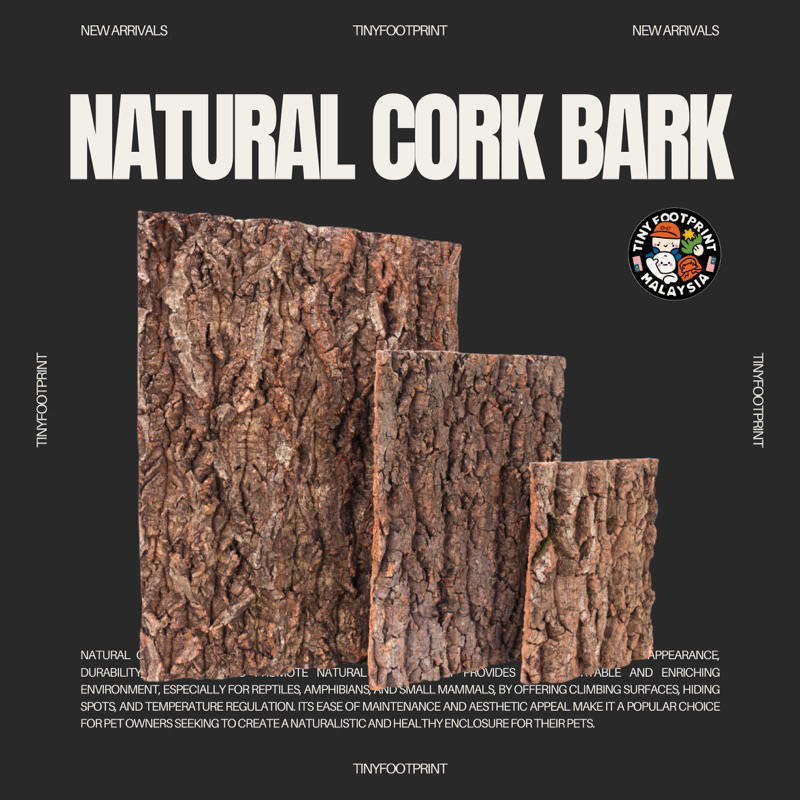 Natural cork bark for isopod & reptile / cork bark wood | Shopee ...