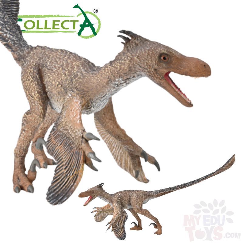 Velociraptor with movable jaw Deluxe 1:6 Scale - Collecta 80010 ...