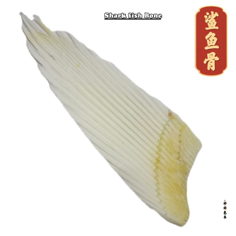 Shark bone, Shark bone, fish bone, 100g/pack, Rich in Calcium, Prevent ...