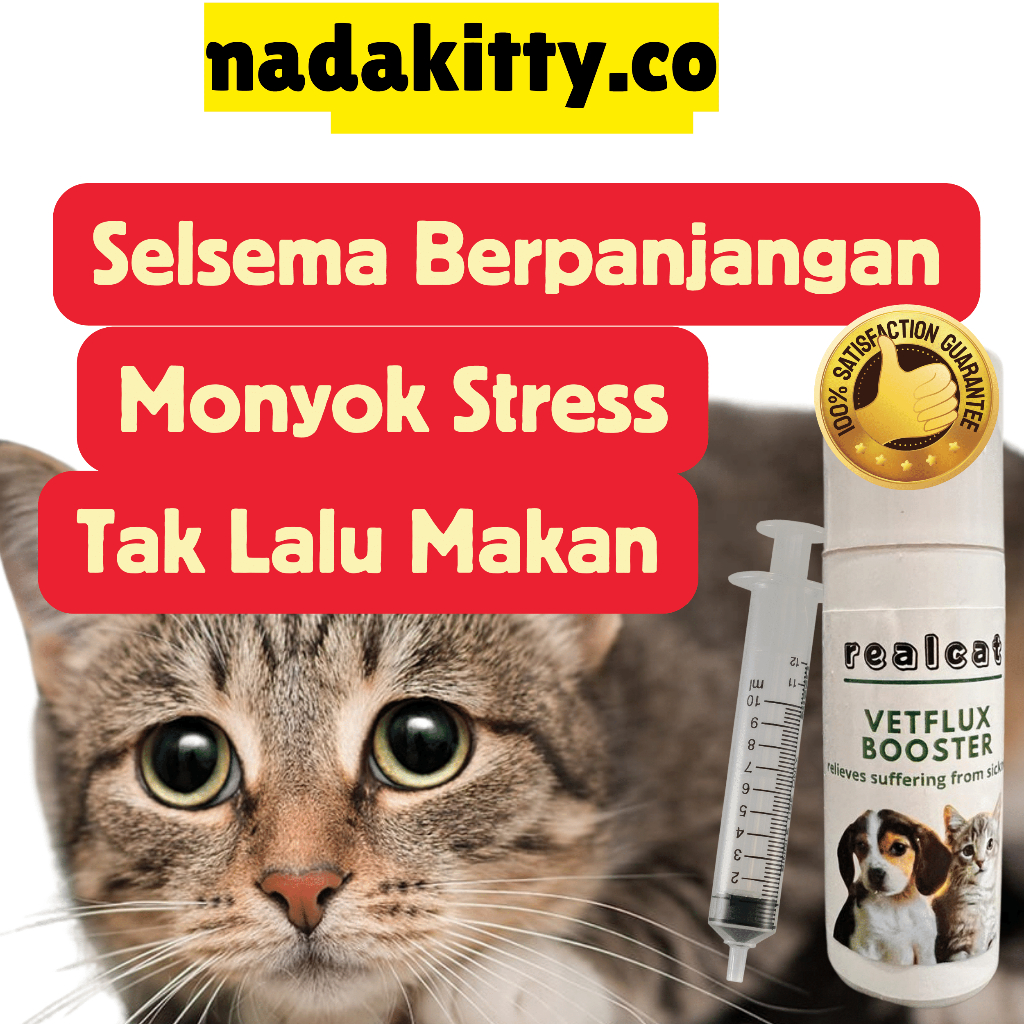 MATA Selsema Monyok Cat Medicine Dog Eye Pain 30ml | Shopee Philippines
